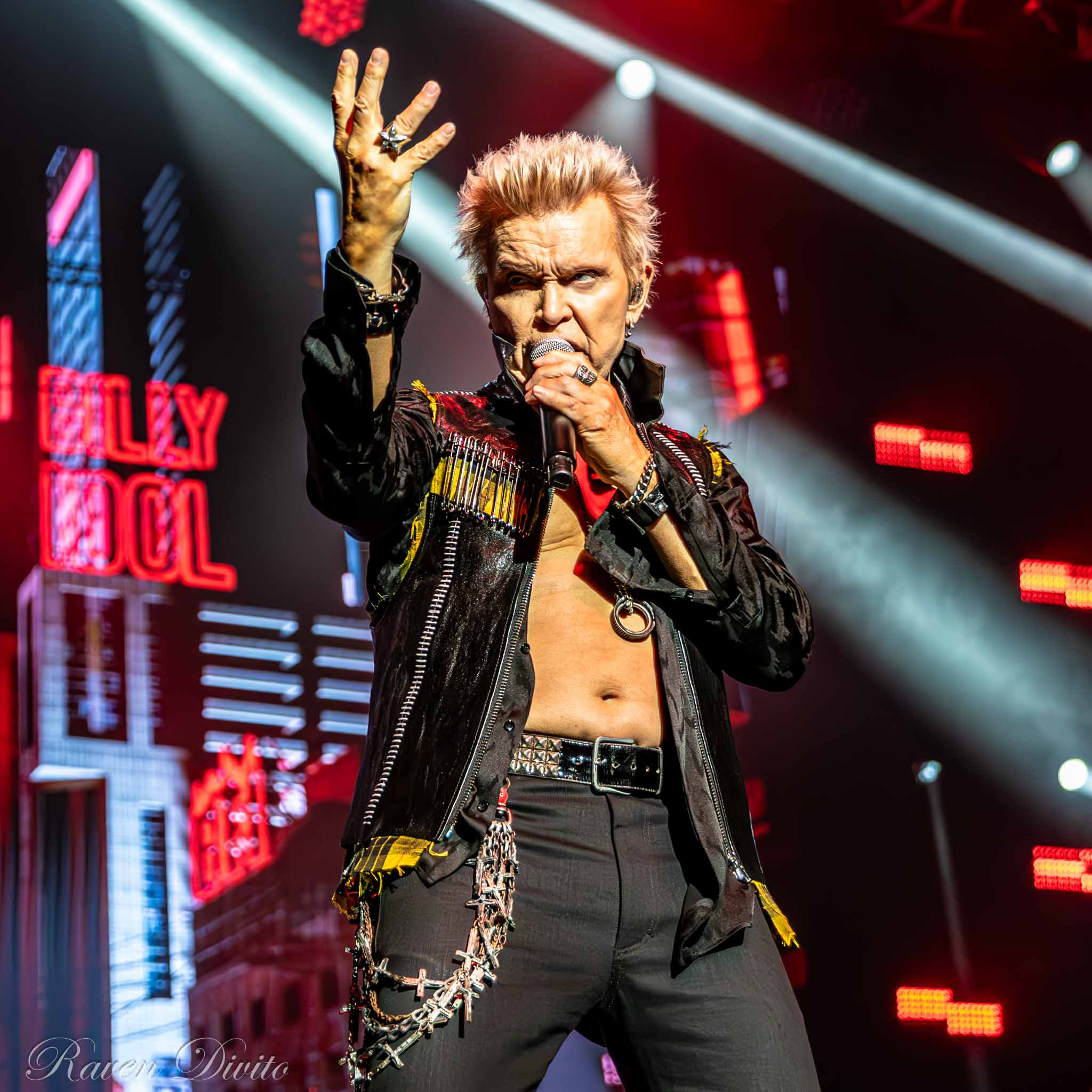 Rock Royalty Reigns: Billy Idol's Thunderous Performance Ignites The ...
